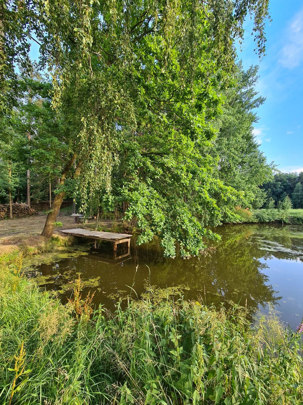 Stellplatz direkt am Weiher am Waldrand | hinterland.camp