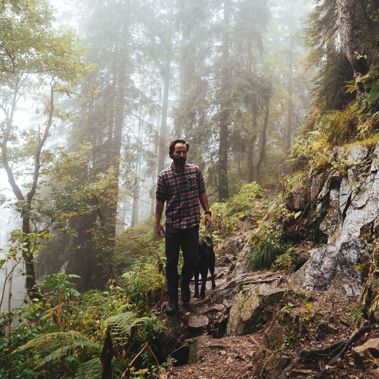 Campen im Schwarzwald – die schönsten Stellplätze von privat
