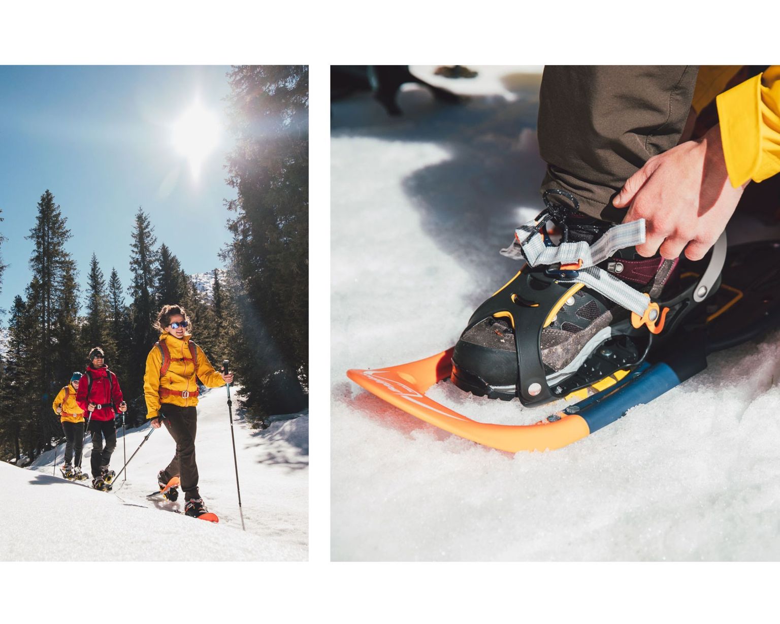 Snowshoeing: Tips, equipment and gadgets for beginners
