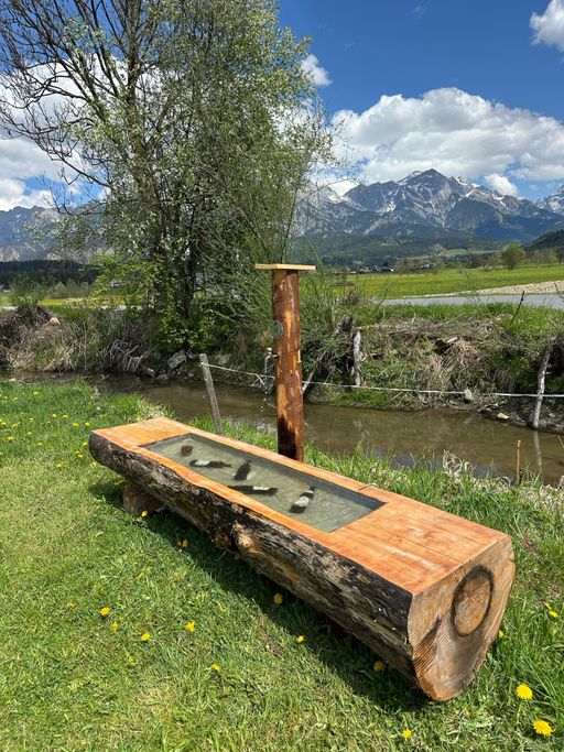 Camping in Bayern – die schönsten Stellplätze in der Natur
