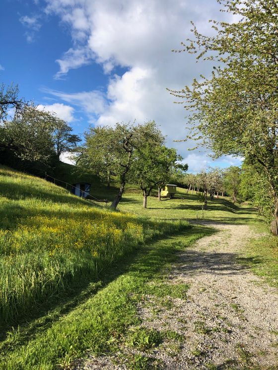 Naturnahe Camping und Womo Stellplätze, Tiny Houses & Co. | hinterland.camp