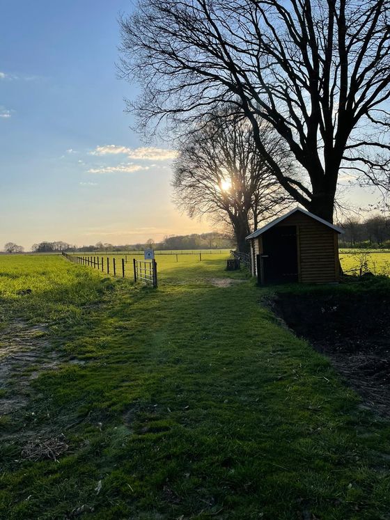 Naturnahe Camping und Womo Stellplätze, Tiny Houses & Co. | hinterland.camp