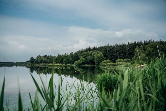 Naturnahe Camping und Womo Stellplätze, Tiny Houses & Co. | hinterland.camp