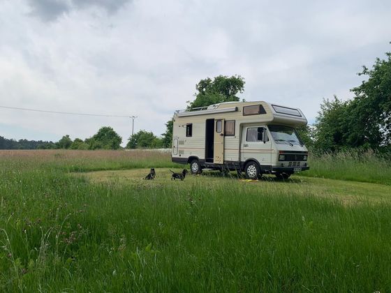 Naturnahe Camping und Womo Stellplätze, Tiny Houses & Co. | hinterland.camp