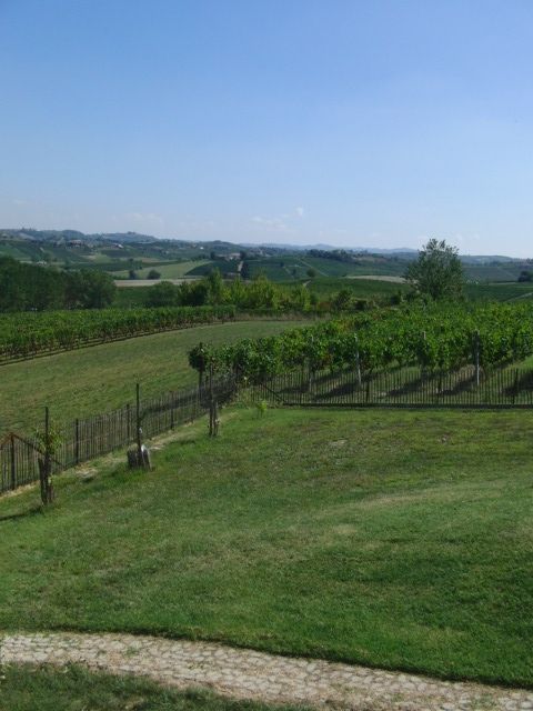 Naturnahe Camping und Womo Stellplätze, Tiny Houses & Co. | hinterland.camp