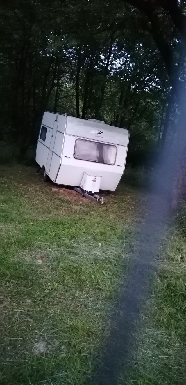 Sleeping between fruit trees & vegetable patches