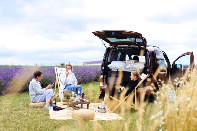 \"Once in a Lifetime\" experience: Sweet dreams amidst lavender fields ...