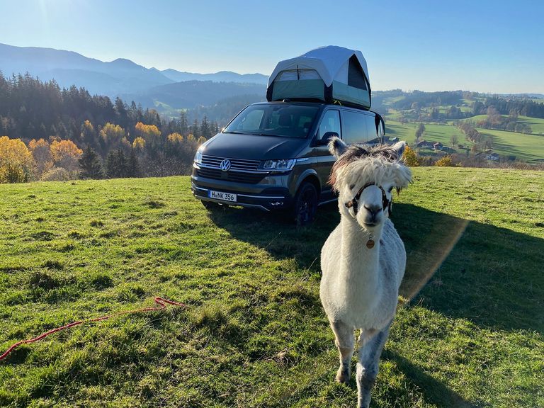 Naturnahe Camping-Stellplätze und Unterkünfte %titleSeparator ...
